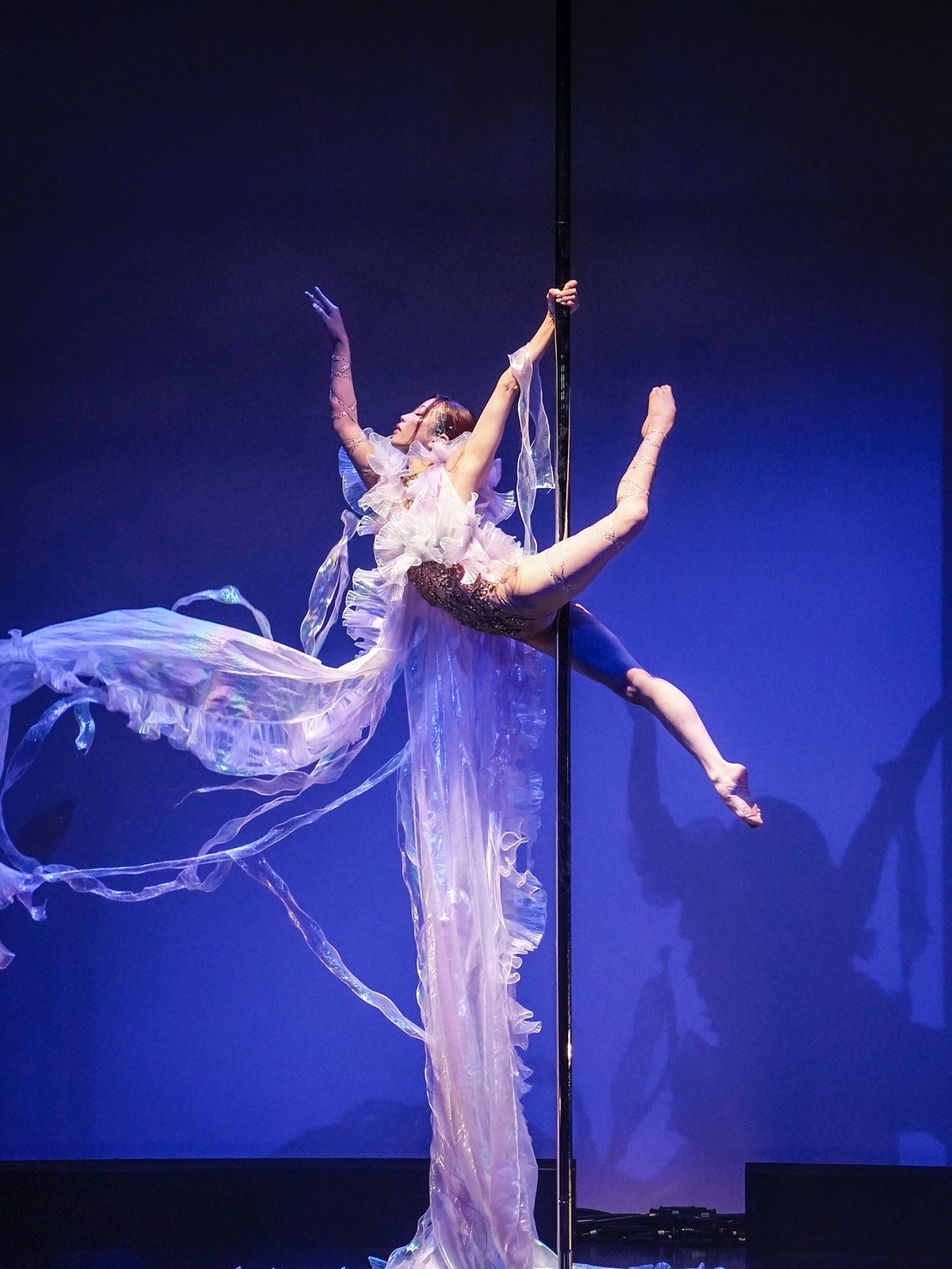 Sally Official Website